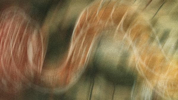 Nychos Art bei Blue Tomato – Kunst aus Liebe zu Anatomie und Cartoons ...